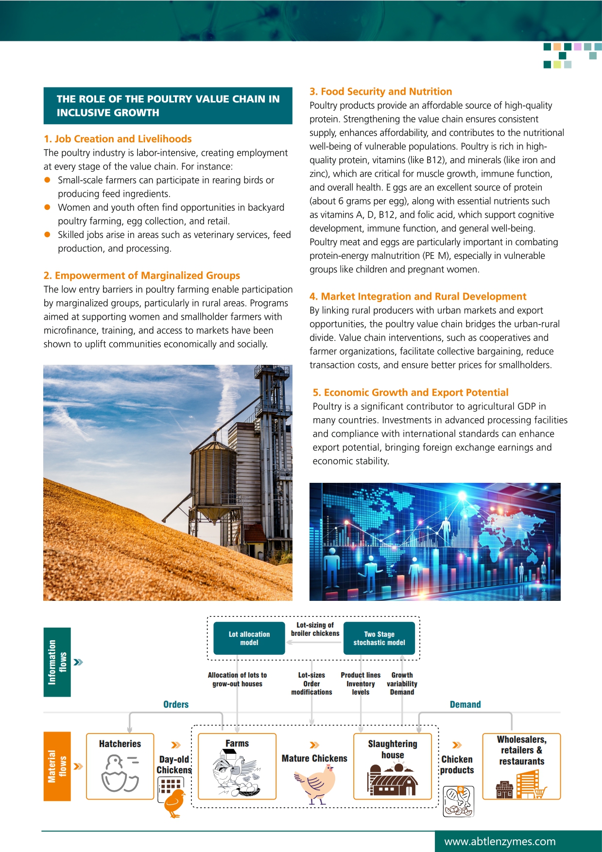 Levelling Up- Value Chain Driving Inclusive Growth in Poultry Industry ...