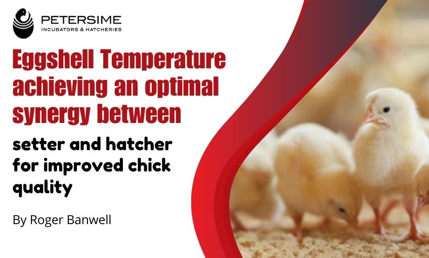 Eggshell temperature: achieving an optimal synergy between setter and ...
