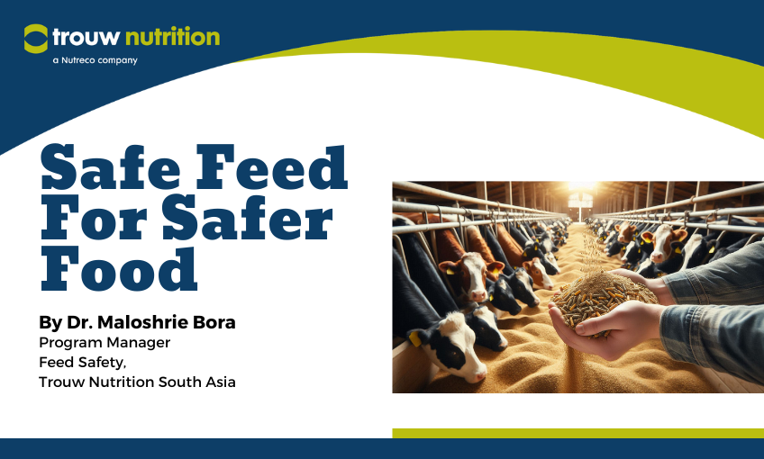 Safe Feed For Safer Food - SR Publications