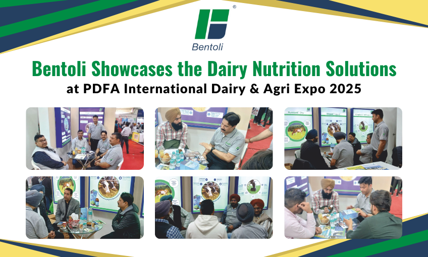Bentoli Showcases the Dairy Nutrition Solutions at PDFA International Dairy & Agri Expo 2025 ...