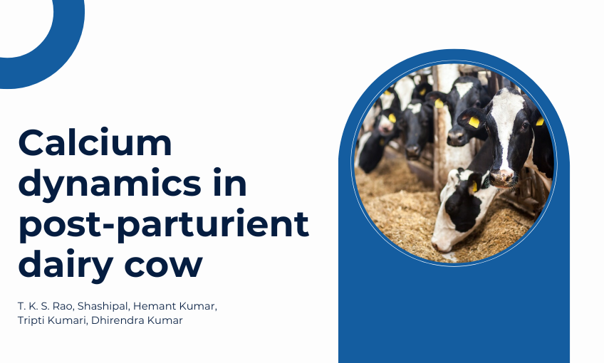 Calcium dynamics in post-parturient dairy cow - SR Publications