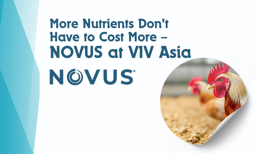 More Nutrients Don’t Have to Cost More – NOVUS at VIV Asia - SR Publications