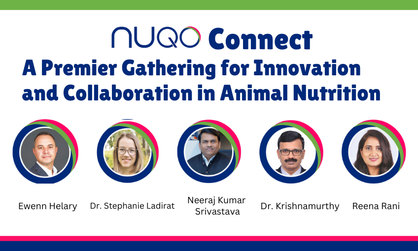 NUQO Connect: A Premier Gathering for Innovation and Collaboration in ...