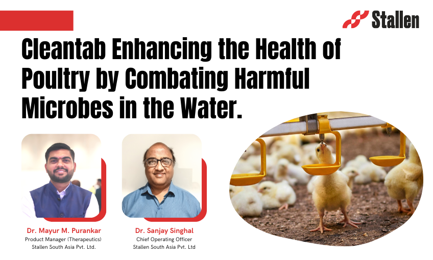 Cleantab: Enhancing the health of poultry by combating harmful microbes in the water. - SR ...