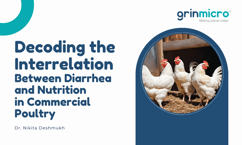 Decoding the Interrelation Between Diarrhea and Nutrition in Commercial ...