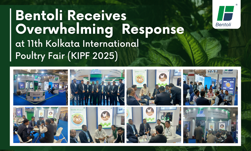 Bentoli Receives Overwhelming Response at 11th Kolkata International ...