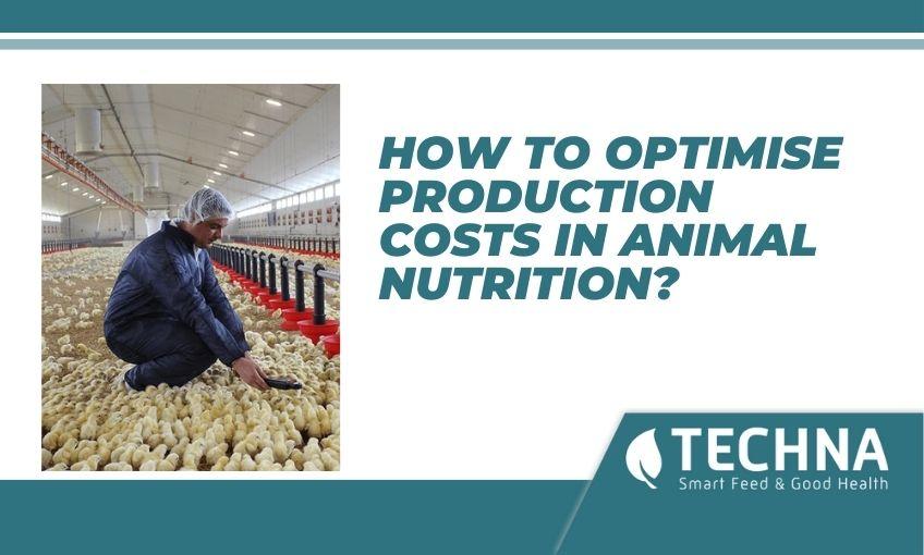 How to optimise production costs in animal nutrition? - SR Publications