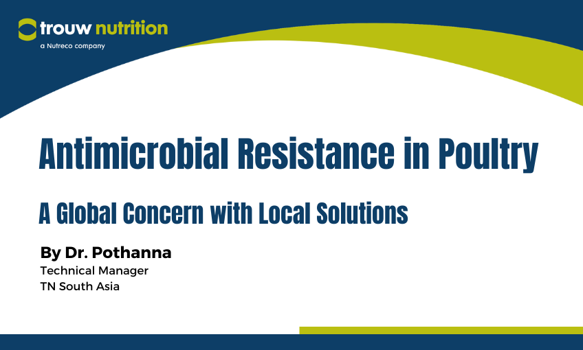Antimicrobial Resistance in Poultry : A Global Concern with Local ...