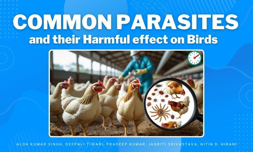 Common Parasites and their Harmful effect on Birds - SR Publications