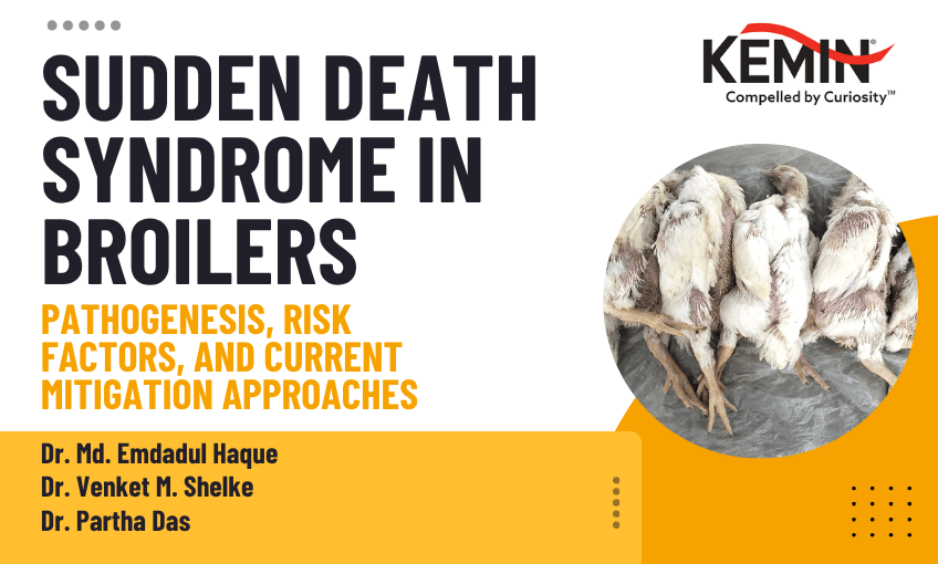 Sudden Death Syndrome in Broilers: Pathogenesis, Risk Factors, and ...