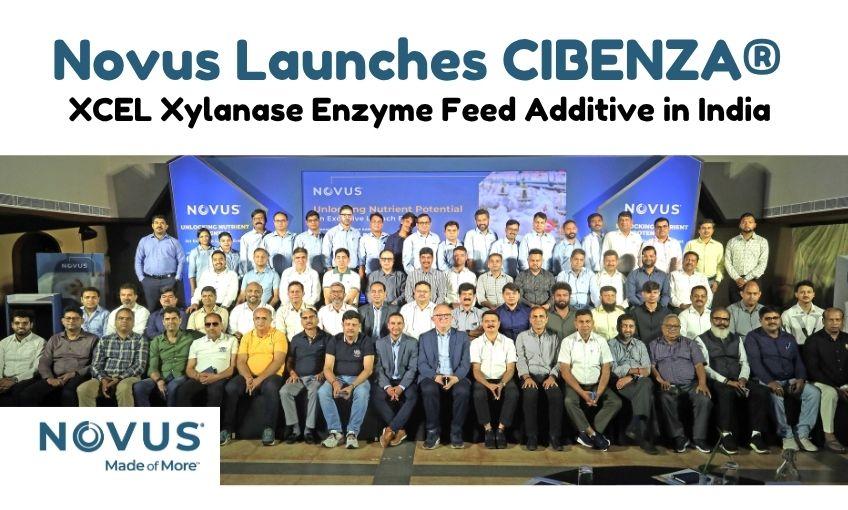 NOVUS LAUNCHES CIBENZA® XCEL XYLANASE ENZYME FEED ADDITIVE IN INDIA ...