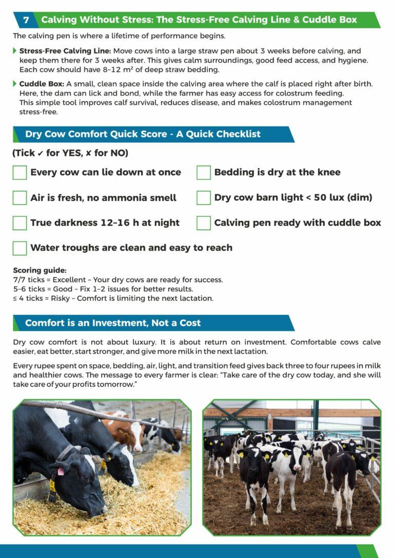 Dry Cow Comfort - Benefits for the Entire Lactation - SR Publications