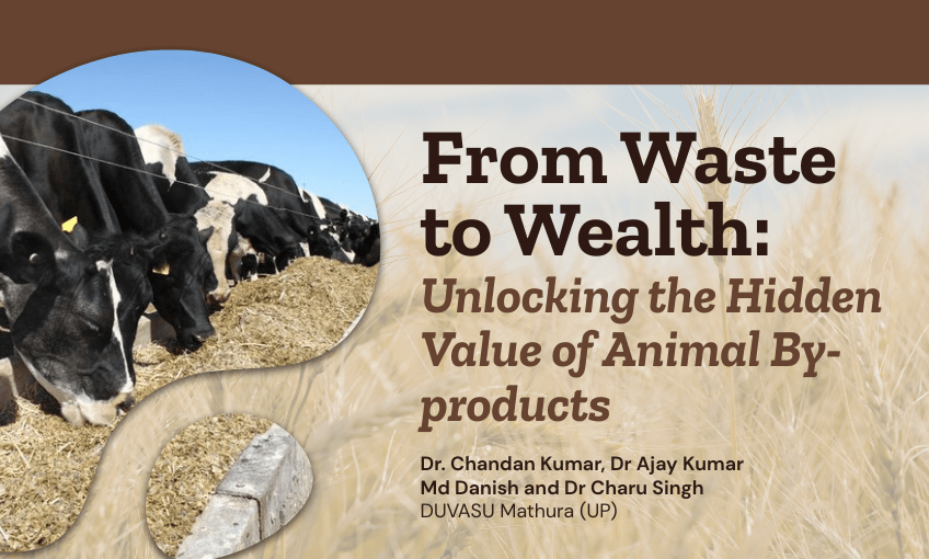 From Waste to Wealth: Unlocking the Hidden Value of Animal By-products ...