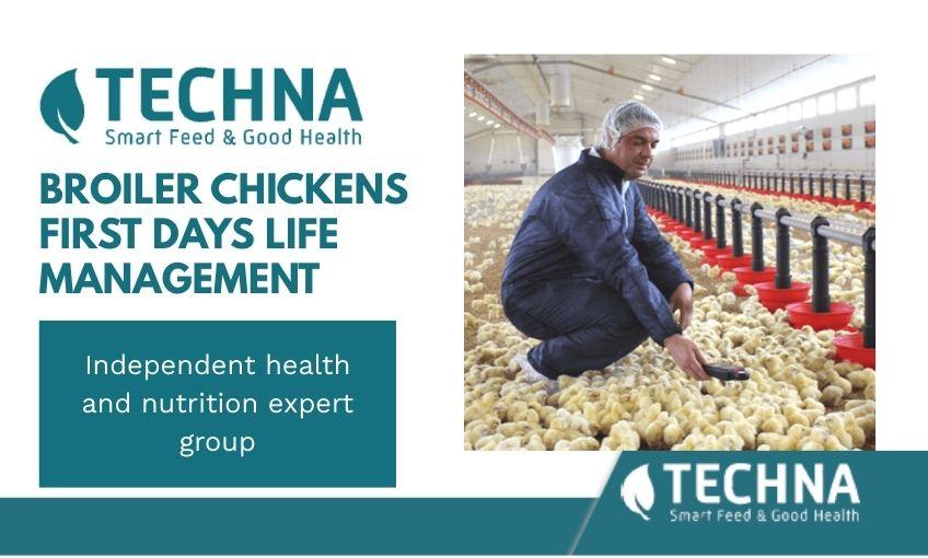 Broiler Chickens: First Days Life Management - SR Publications