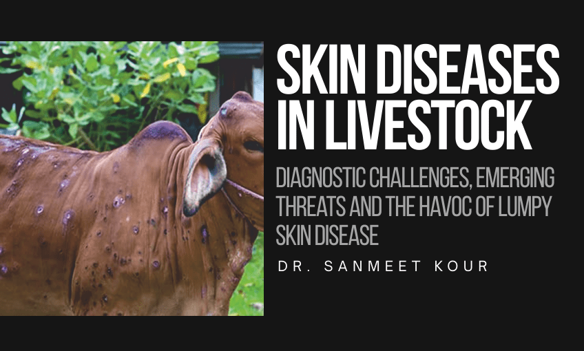Skin Diseases in Livestock: Diagnostic Challenges, Emerging Threats and ...