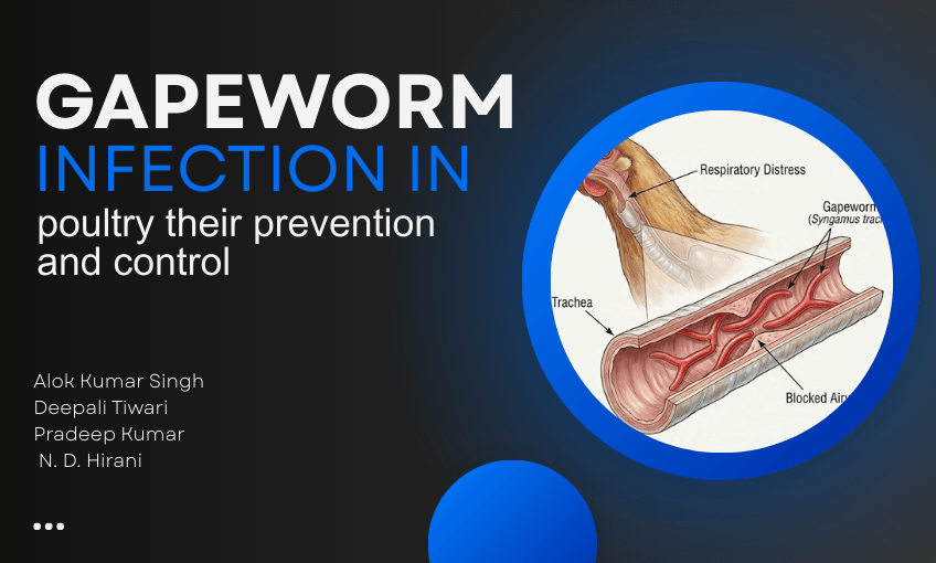 Gapeworm infection in poultry their prevention and control - SR ...