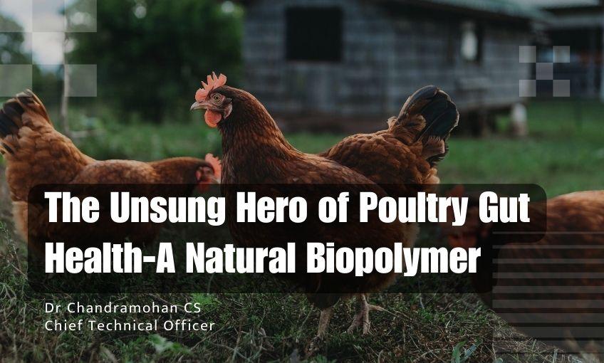 The Unsung Hero of Poultry Gut Health - A Natural Biopolymer - SR ...